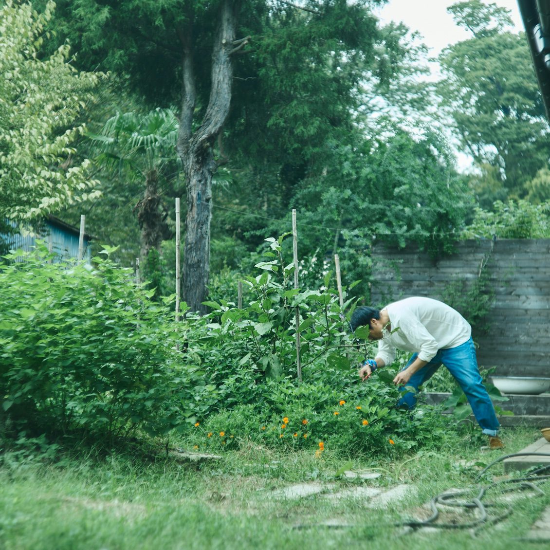 【余白のある家】03暮らしながら巡った「好き」。この家が教えてくれたことと、次に住む築200年の家の話 北欧、暮らしの道具店