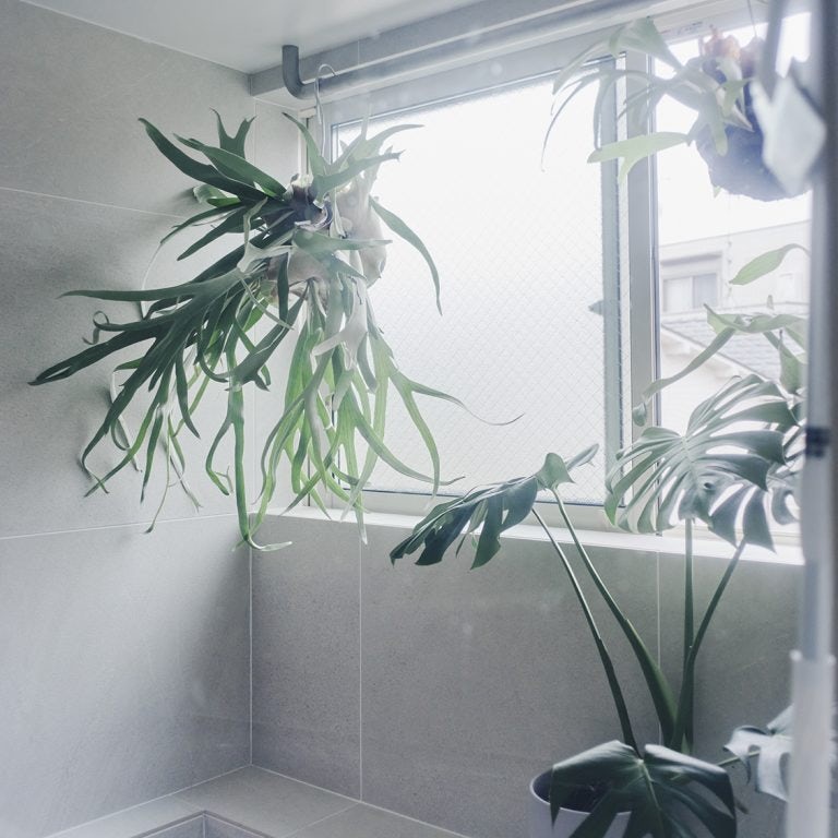 【好きが拡がる家づくり】02：洗濯家事が苦手だから。散らかり知らずの洋服収納と、水回りの紆余曲折ばなし - 北欧、暮らしの道具店